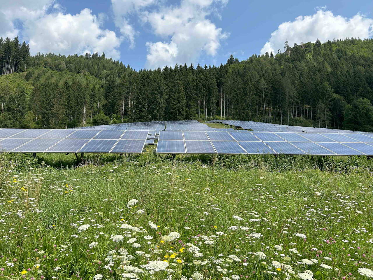 Invest | PV-Invest GmbH